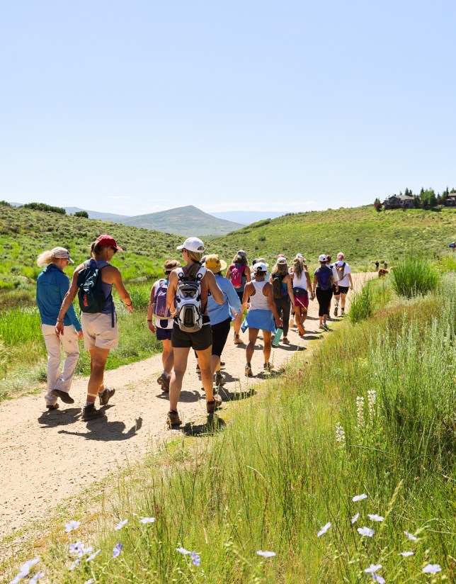 Wild Women Tribe – It's about the journey, not the destination